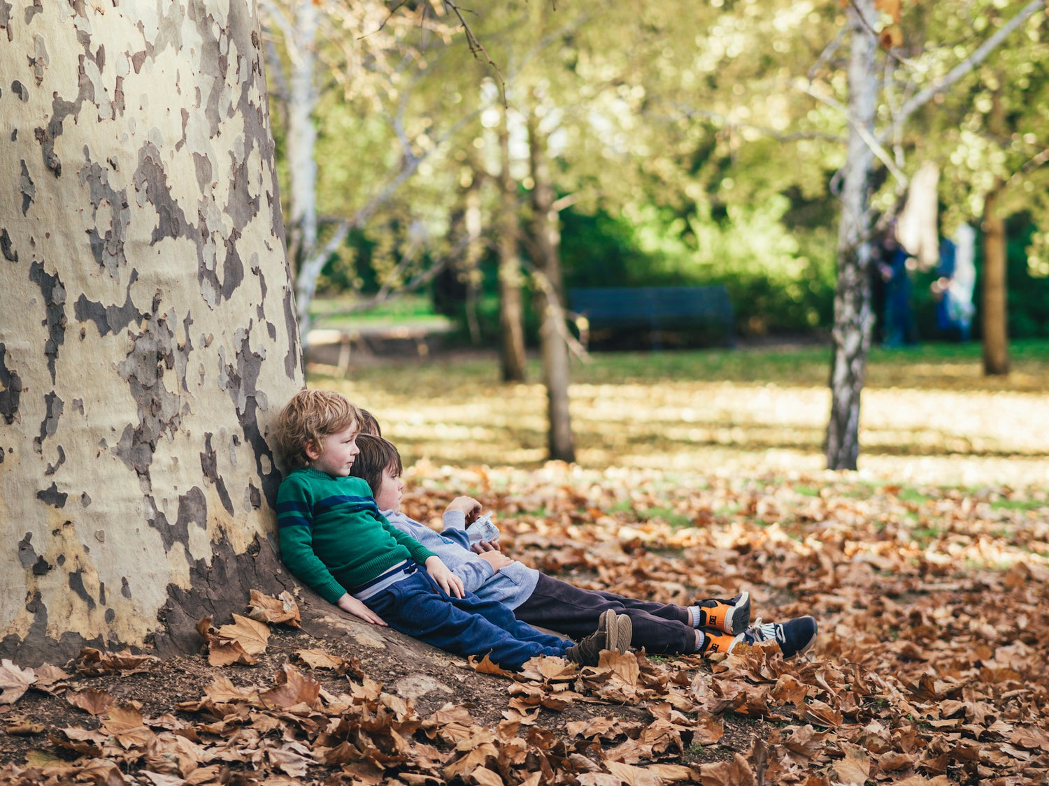 What are the Benefits of Structured Outdoor Play? – Bijou Build